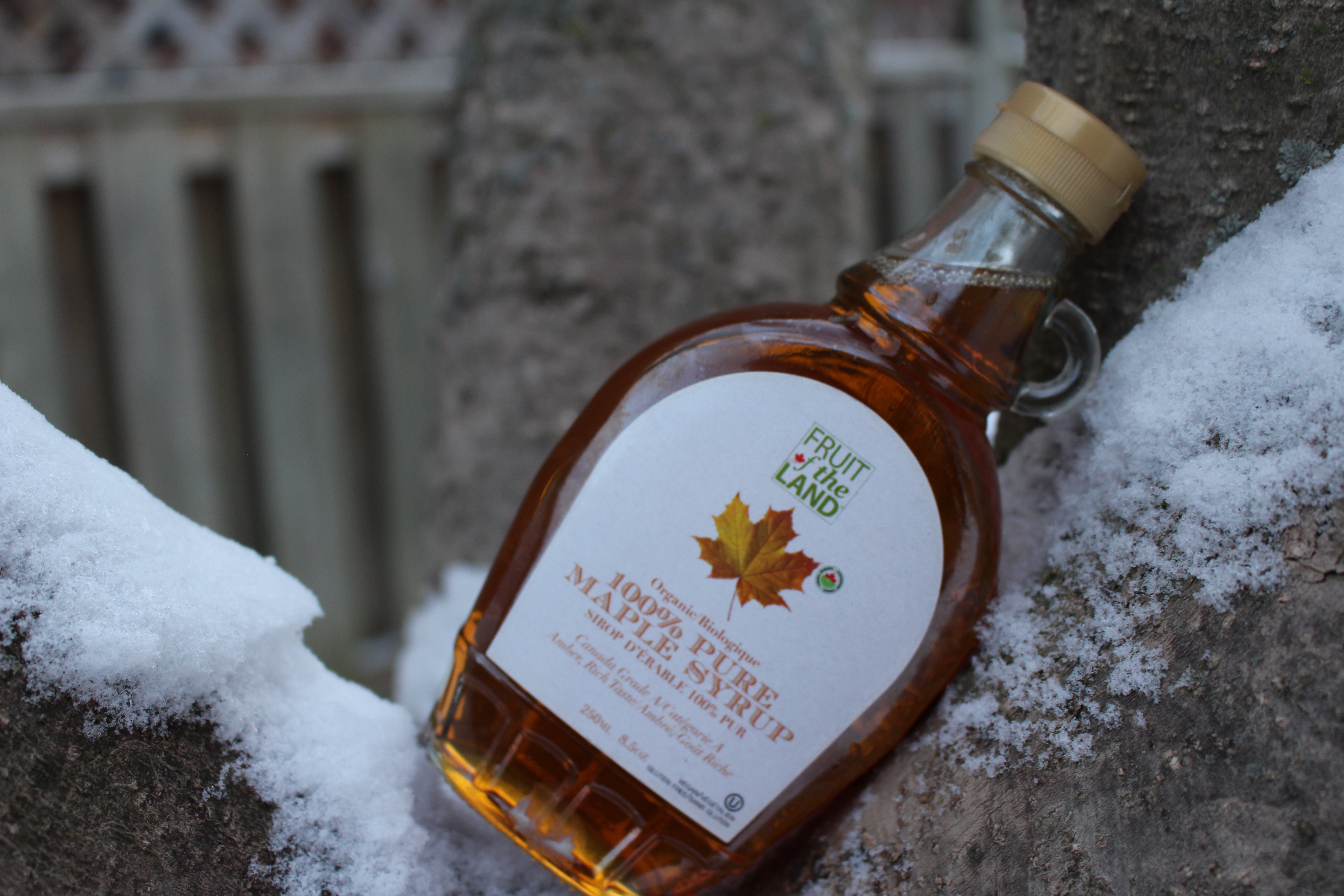 Organic Maple Syrup – Fruit of the Land